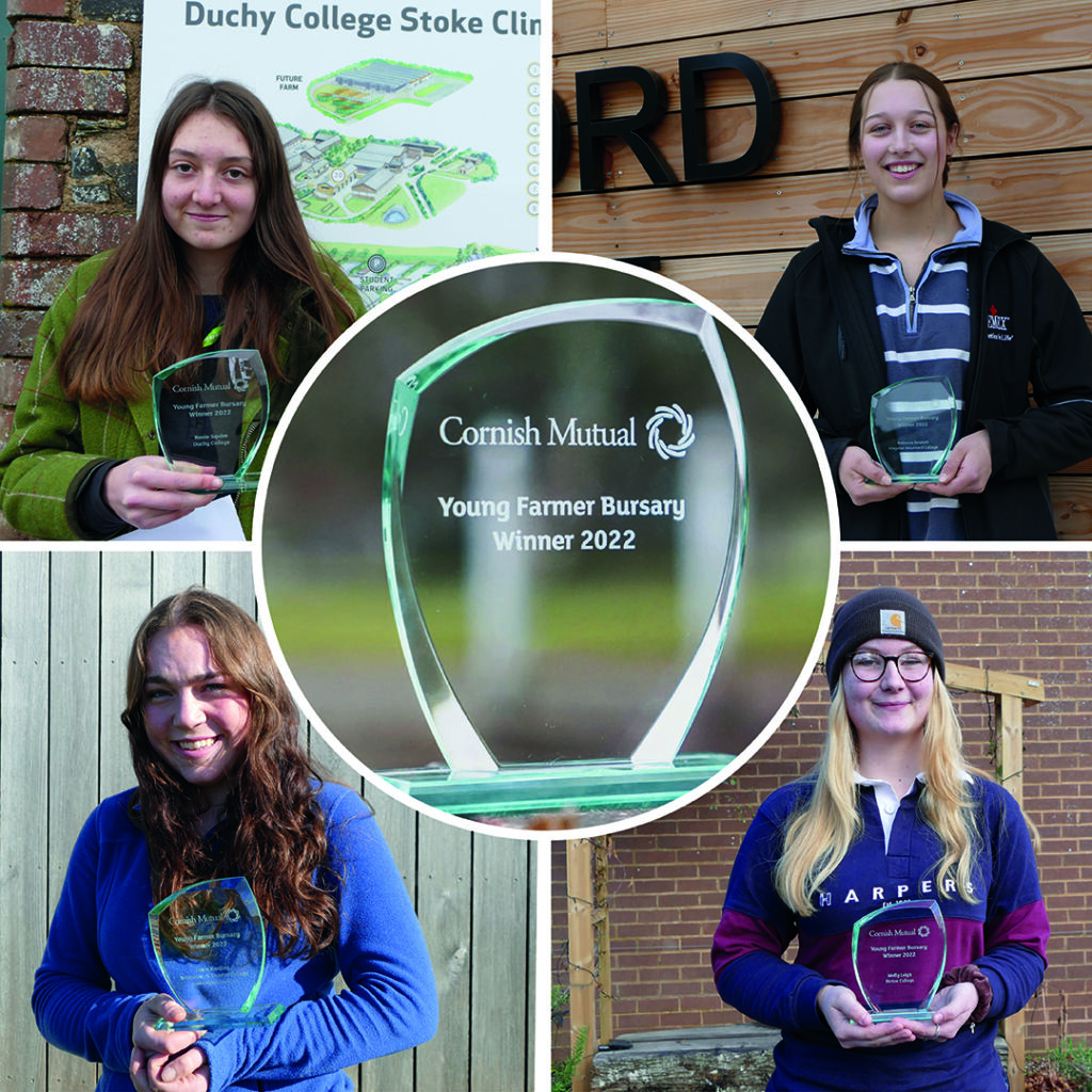 Entries open for Cornish Mutual Young Farmer Bursaries - Somerset Chamber