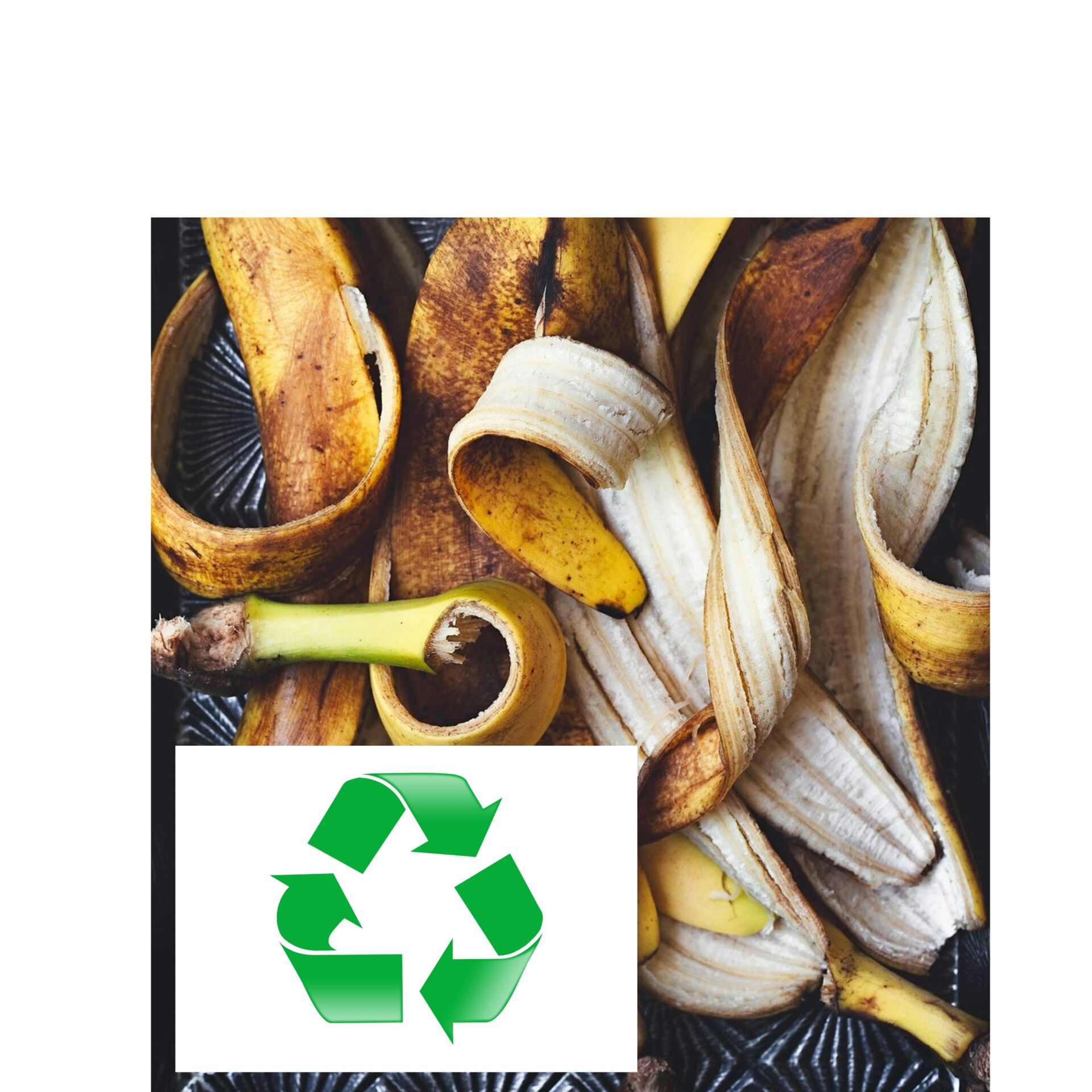 SUEZ offers simpler recycling as new legislation looms for business ...