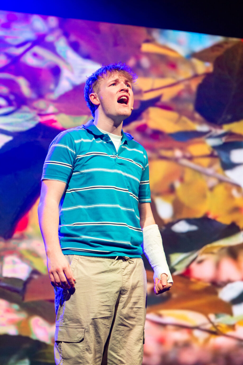 Richard Huish College students shine in sold-out Dear Evan Hansen shows ...